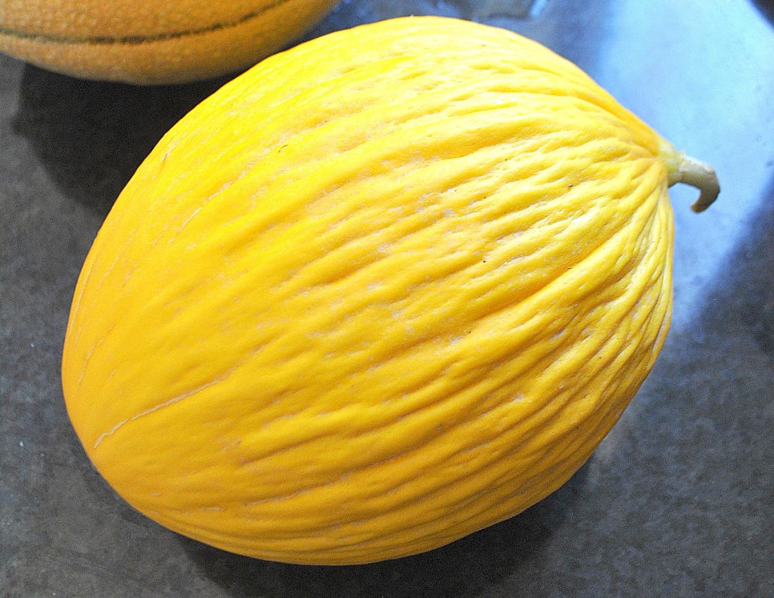 Summer Melon Salad (with zesty dressing) - 2 Sisters Recipes by Anna ...